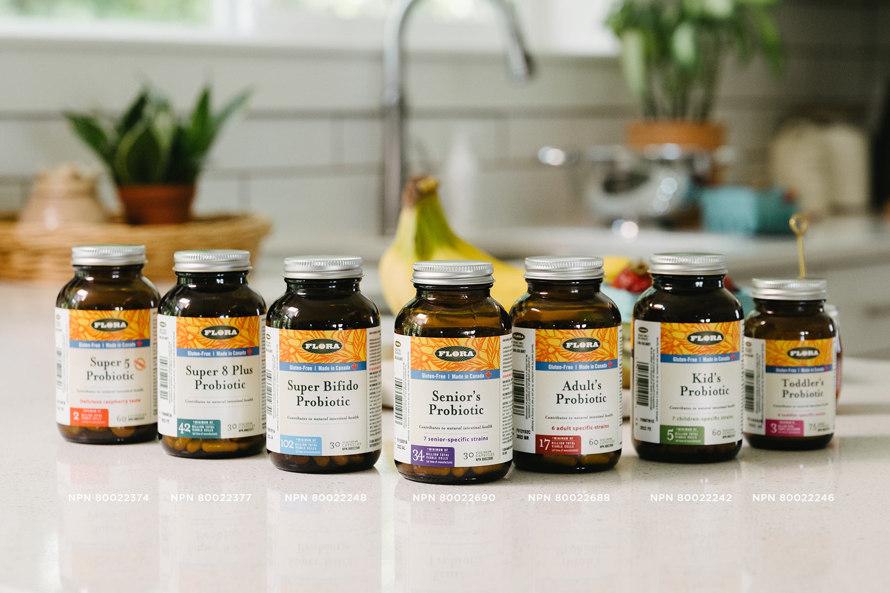Immune Health Begins in the Gut – FloraHealthca-en