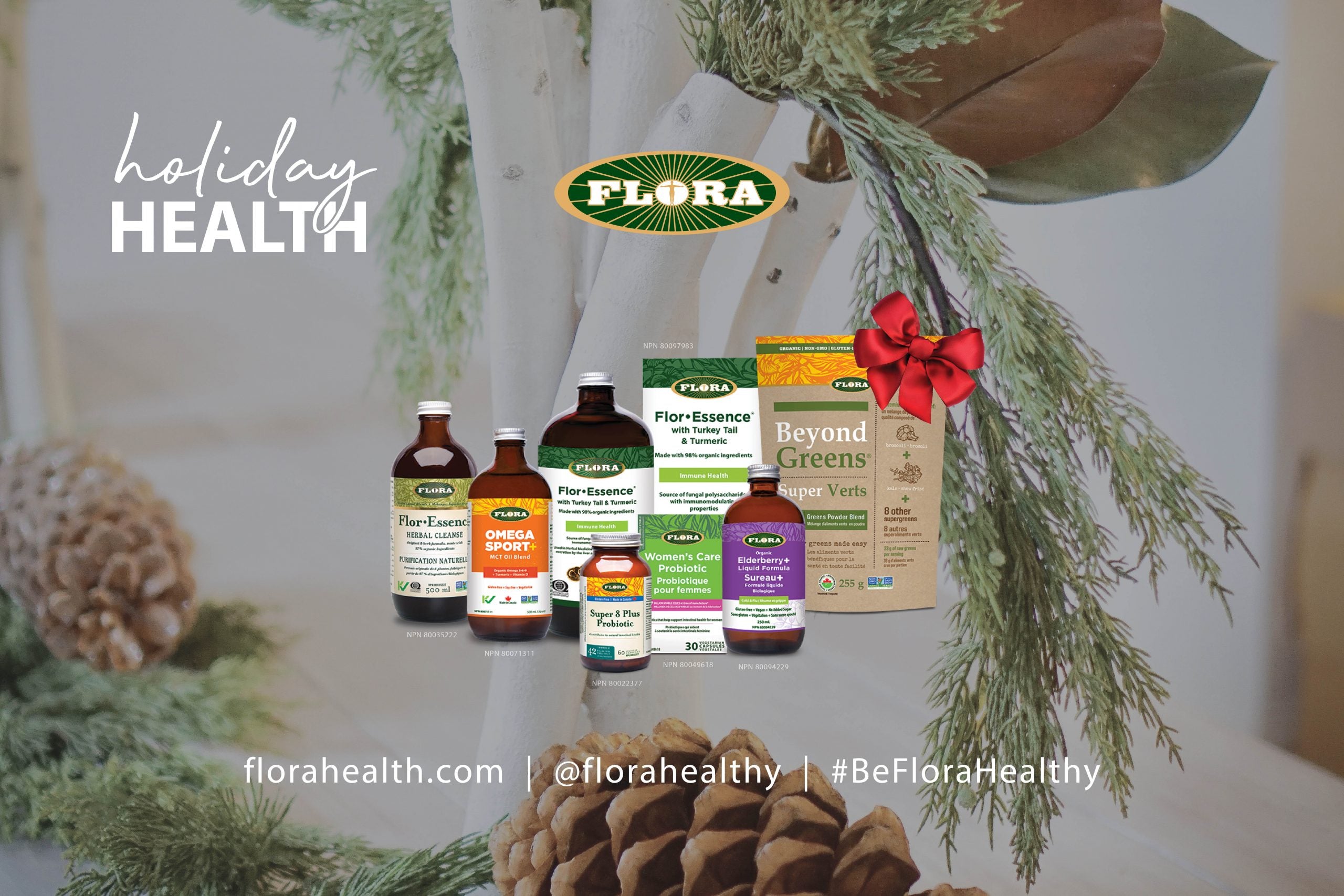 Celebrate Health This Holiday Season – FloraHealthca-en